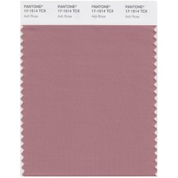 PANTONE Smart 14-1310X Color Swatch Card, Cameo Rose - Wall Decor ...