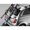 Amazon.com: Fiat 500 Window Mount Ski Carrier : Sports & Outdoors