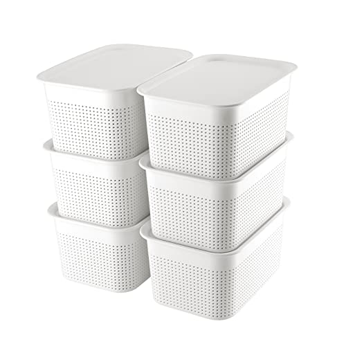 AREYZIN Plastic Storage Bins With Lid Set of 6 Storage Baskets for ...