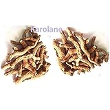 Urancia Patala Garuda Sepentina Root, 100 g: Amazon.in: Garden & Outdoors