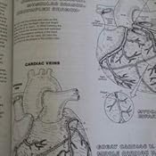The Anatomy Coloring Book: 0642688054786: Medicine & Health Science ...