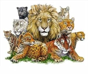Amazon.com: BIG CAT COLLAGE 15 CROSS STITCH CHART: Computers & Accessories