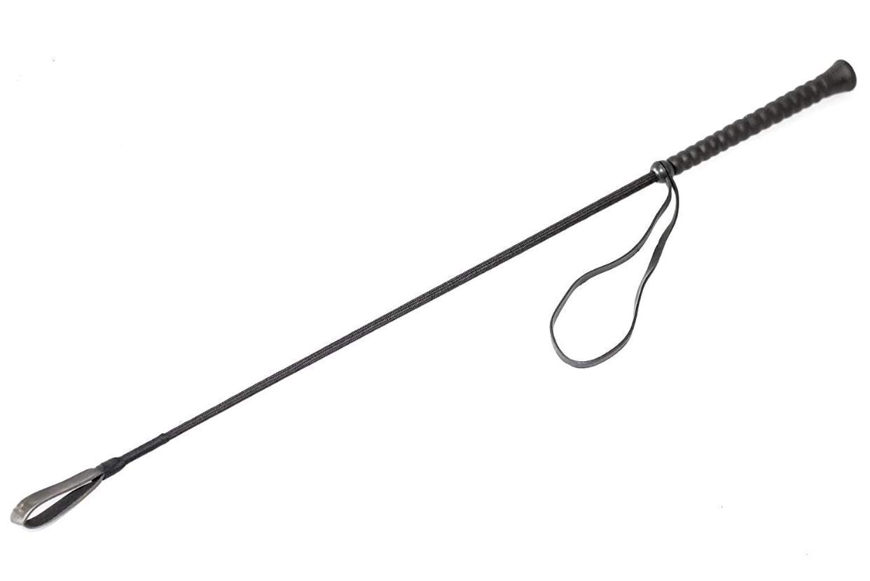 Buy AbCD- All aBout Cats and Dogs Dog Training/Walking Stick with Anti ...