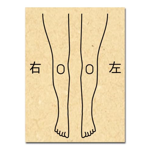Mua Human Body / Medical Stamp, Both Legs (Front), Physical Condition ...