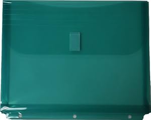 Amazon.com : Filexec Poly Envelope, Letter, Side-load, Velcro Closure ...