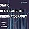 Static Headspace-Gas Chromatography: Theory and Practice: Amazon.de: Bruno Kolb, Leslie S. Ettre ...