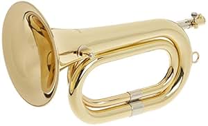 Corneta academy jmichael en do: Amazon.es: Instrumentos musicales