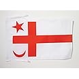 Amazon.com : Mi'kmaq people Flag 18'' x 12'' cords - Micmac SMALL flags ...