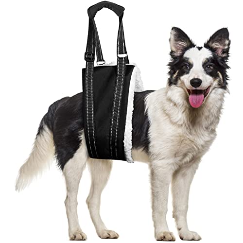 Petbobi Dog Sling for Large Dogs Hind Leg Support, Dog Hip Harness ...