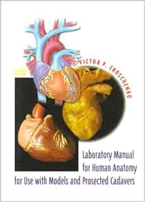 Laboratory Manual for Human Anatomy for Use with Models and Prosected ...
