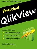QlikView Your Business: An Expert Guide to Business Discovery with ...