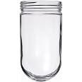 RAB Lighting GL200 200 Series Vaporproof Threaded Glass Globe, 300W ...