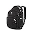 Amazon.com: SwissGear Computer Backpack (Black): Computers & Accessories