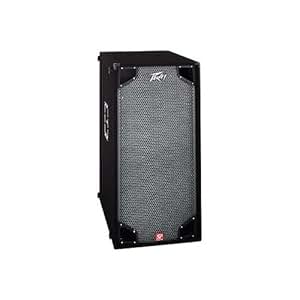 Amazon.com: PEAVEY DUAL 18" 4800 WATTS SUPER SUB BOX - SP218: Home ...