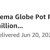 Nema Globe Pot Popper Organic Indoor Fungus Gnat & Insect Control 8x1 ...