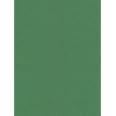 Amazon.com: Pacon Sunworks Construction Paper (Green) - 12 In. x 18 In.