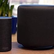 Echo Sub - Powerful subwoofer for your Echo – requires compatible Echo ...