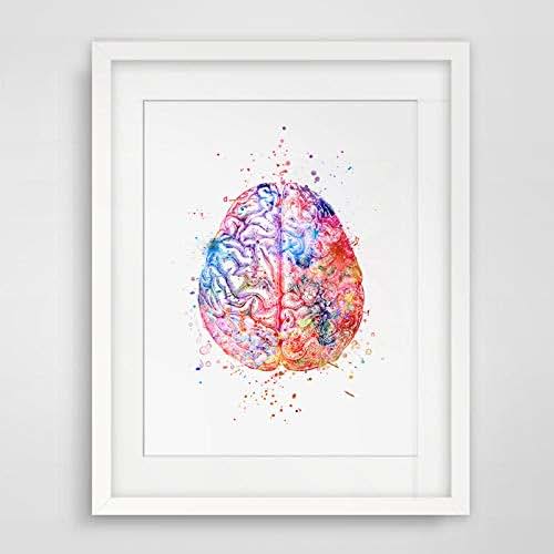 Amazon.com: Watercolor Anatomy Brain Wall Art Decor Anatomical Brain ...