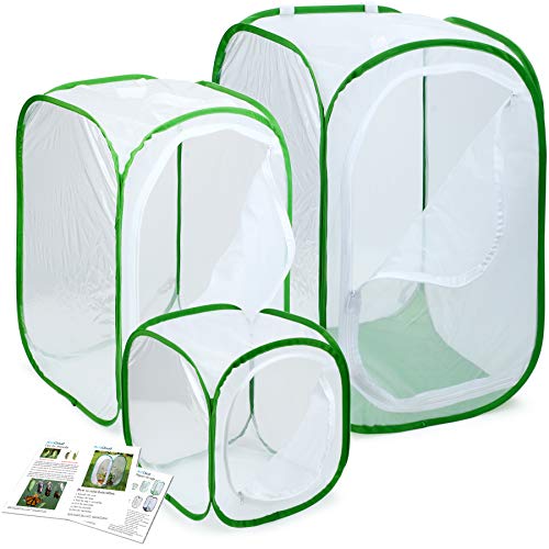 RESTCLOUD 3-Pack Large Monarch Butterfly Habitat, Giant Collapsible ...