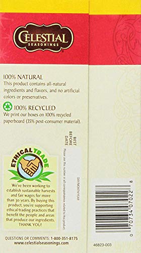 Celestial Seasonings Fast Lane Black Tea, 20 Count (Pack of 2) | Pricepulse