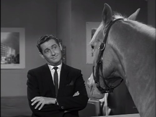 Watch Mister Ed Season 1 | Prime Video
