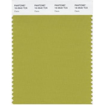 PANTONE Smart 13-0401X Color Swatch Card, Oatmeal - House Paint ...