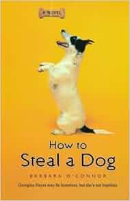 How to Steal a Dog: A Novel: Barbara O'Connor: 9780312561123: Amazon ...