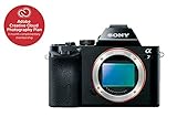 The Only Camera You Need: Sony a6000 Review