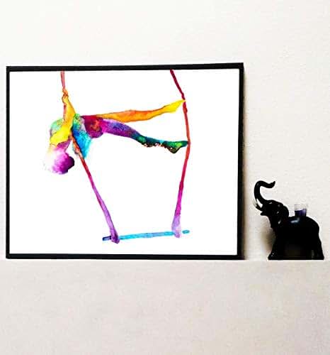 Amazon.com: The serene trapeze - Trapeze circus art - Fine Art Print ...