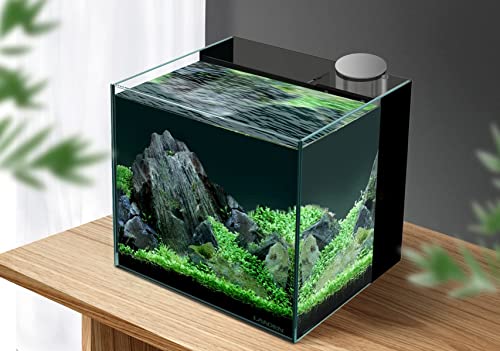 LANDEN 40C 15.66 Gallon Ultra Clear Glass Rimless Low Iron Aquarium ...