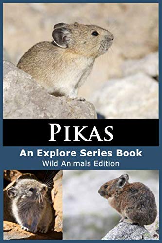 Pikas (Wild Animals Edition): Series, Explore, Willoughby, James ...