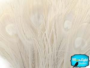 Amazon.com: Peacock Feathers ; Ivory Peacock Feathers; Bleached 5 ...