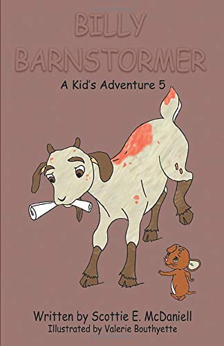 Billy Barnstormer: A Kid's Adventure 5 (Billy Series): McDaniell ...