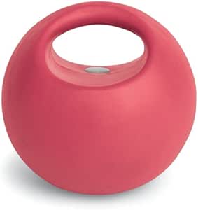 Amazon.com: Valeo 6-Pound Weighted Handle Ball : Sports & Outdoors