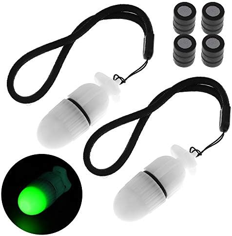 SecurityIng 2Pc Underwater Strobe Signal Light Scuba Night Dive Marker ...