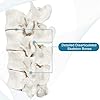 Disarticulated Human Skeleton Model for Anatomy Life Sized Anatomical ...