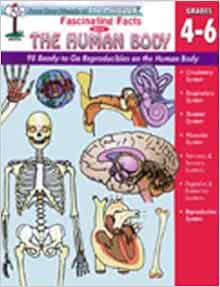 Fascinating facts about the human body: A science book for grades 4-6 ...