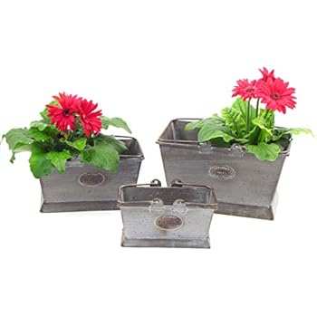 Amazon.com: Esschert Design Herb Print Galvanized Steel Flower Pots ...