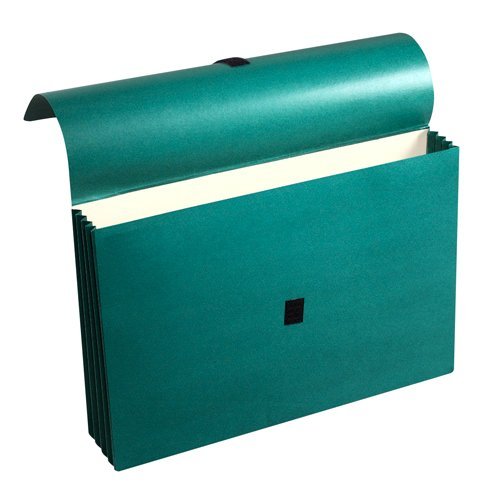 Buy Wilson Jones ColorLife File Wallets with Velcro Grippers, 3.5 Inch ...