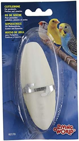 Living World Cuttlebone White (Small), Calcium Supplement For Breeding ...