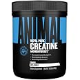 Amazon.com: Animal Micronized Creatine – Delay Muscle Fatigue, Enhance ...