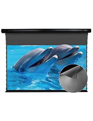 VIVIDSTORM-Office Presentation Tension Screen,Black Housing Obsidian ...