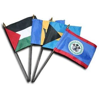 Amazon.com : AES 12x18 Stick Flag United Nations Member Set Flags ...