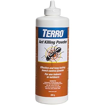 TERRO Ant Killer Liquid Baits T300CAN: Amazon.ca: Patio, Lawn & Garden