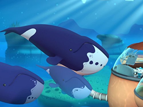 Watch Octonauts Season 2 | Prime Video