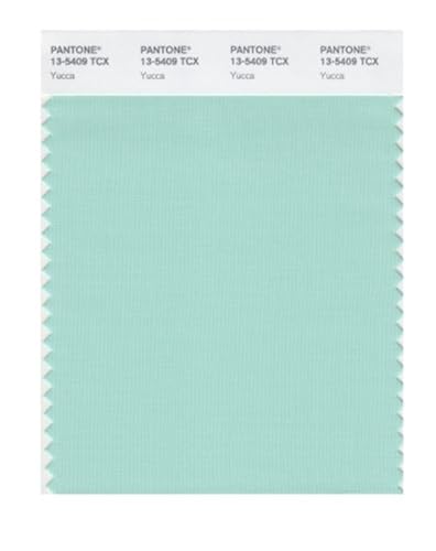 PANTONE Smart 13-5409X Color Swatch Card, Yucca in Kuwait | Whizz