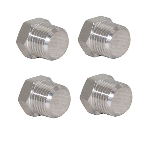 Joywayus 4Pcs Stainless Steel Outer Hex Thread Socket Pipe Plug Fitting 3/8" NPT Male- Buy ...