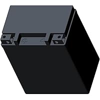 Amazon.com: Indian Motorcycle 12V Battery, 13AH 245 CCA, Genuine OEM ...