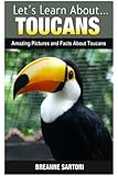 Amazon.com: Toucans and Other Birds (Animals That Live in the Rain ...
