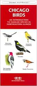 Chicago Birds: An Introduction to Familiar Species in Northeastern ...